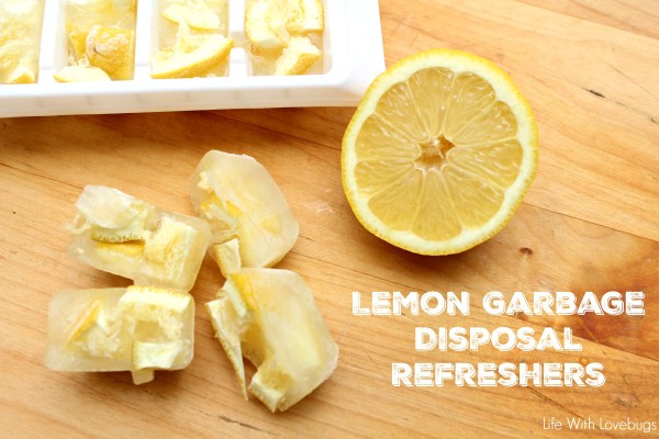 Lemon Garbage Disposal Refreshers - Life With Lovebugs