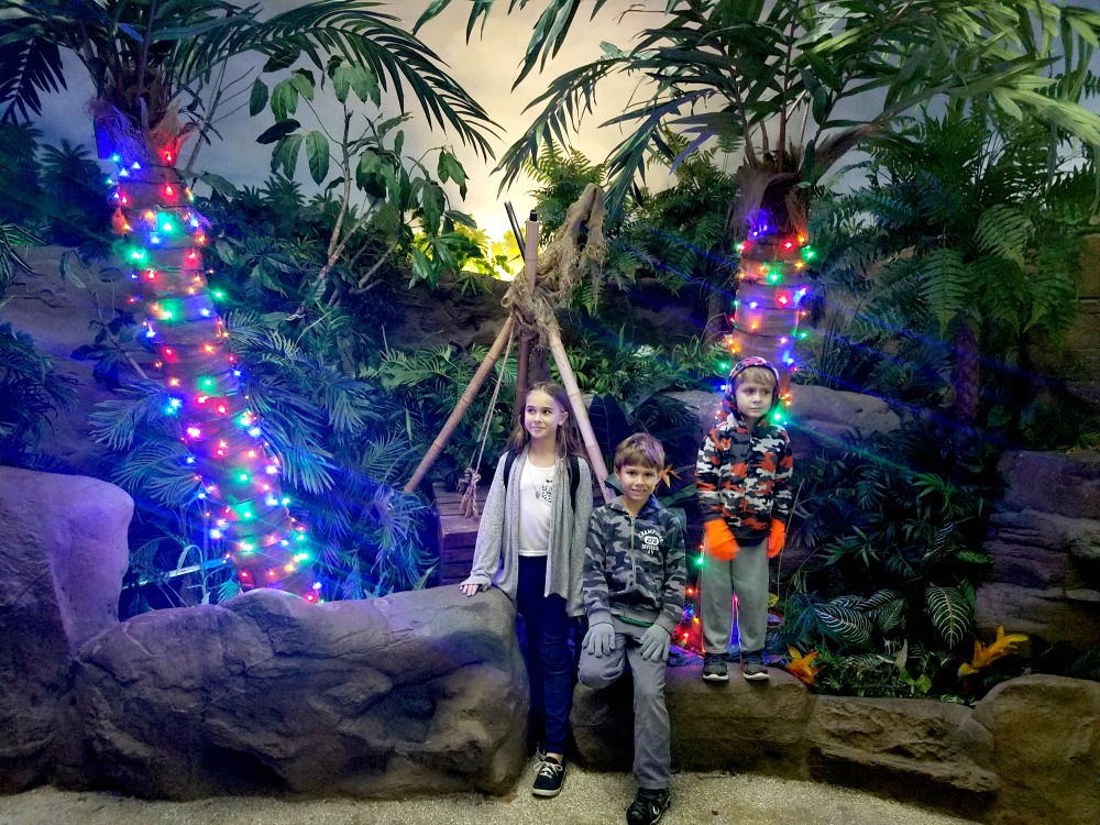 SeaWorld's Christmas Celebration - Life With Lovebugs