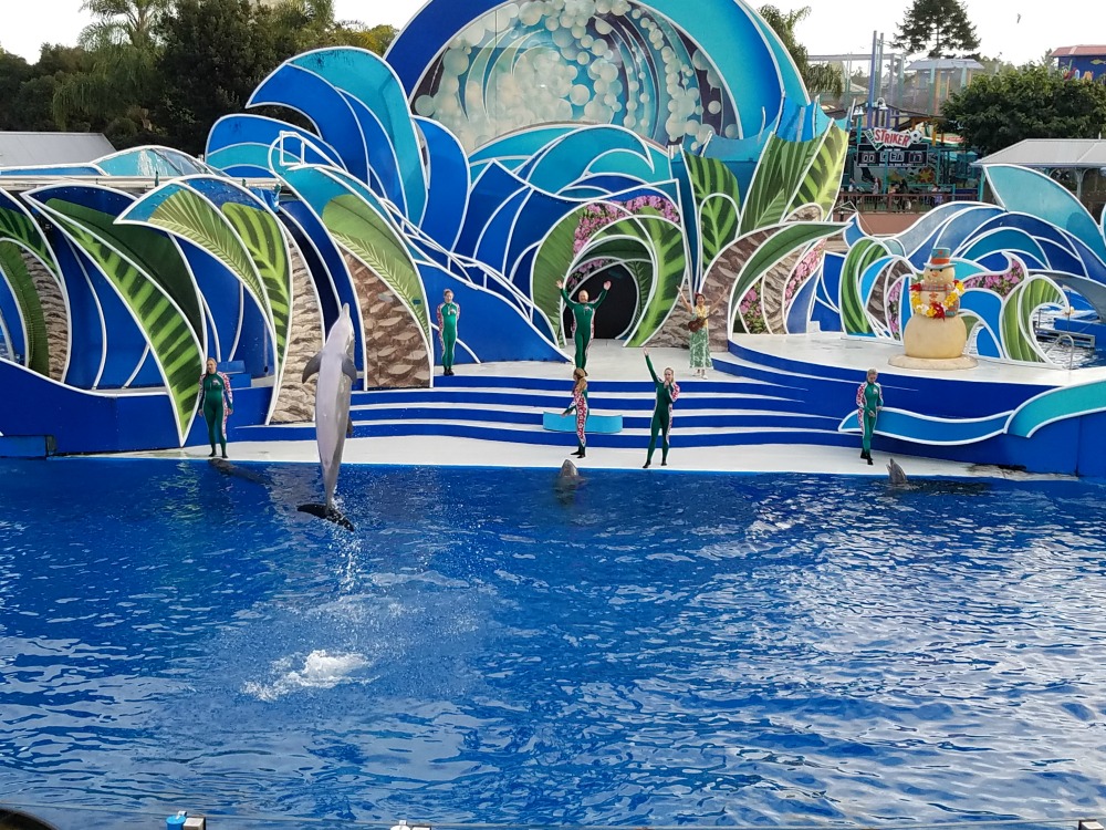 SeaWorld's Christmas Celebration - Life With Lovebugs