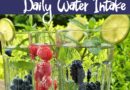 How to Increase Your Daily Water Intake - Life With Lovebugs
